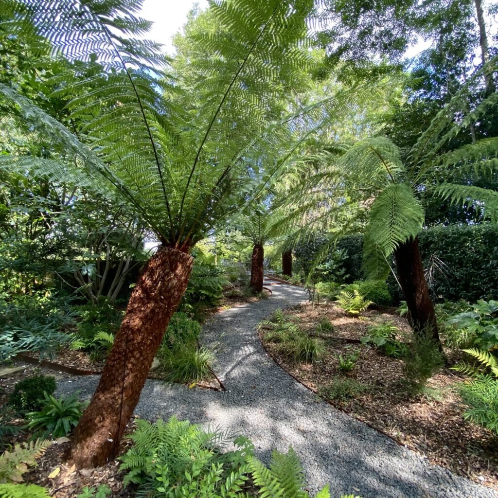 The Plants - Page 16 of 48 - Architectural Plants