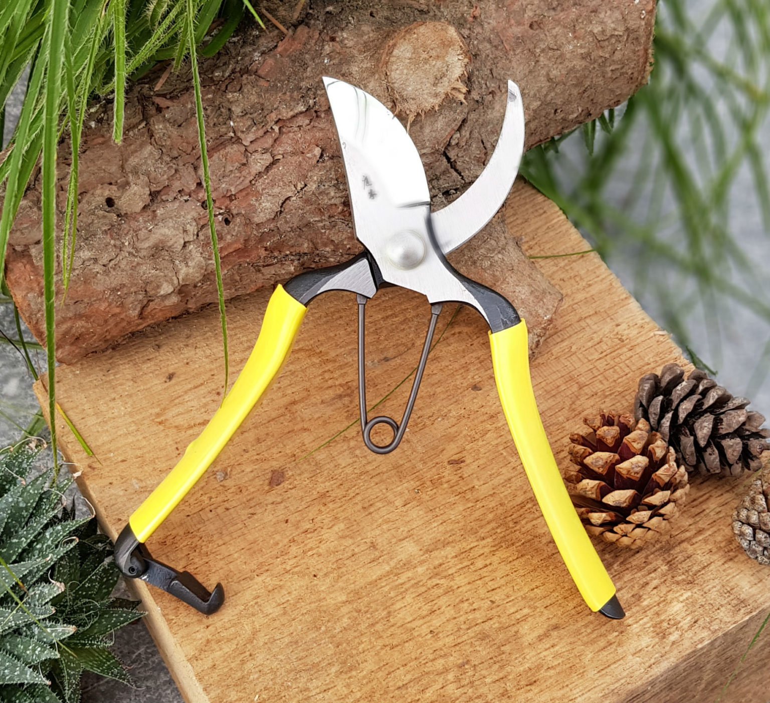 Japanese Garden Tools | Niwaki Tools | Architectural Plants