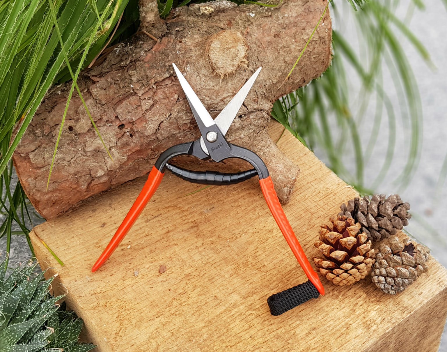 Japanese Garden Tools | Niwaki Tools | Architectural Plants