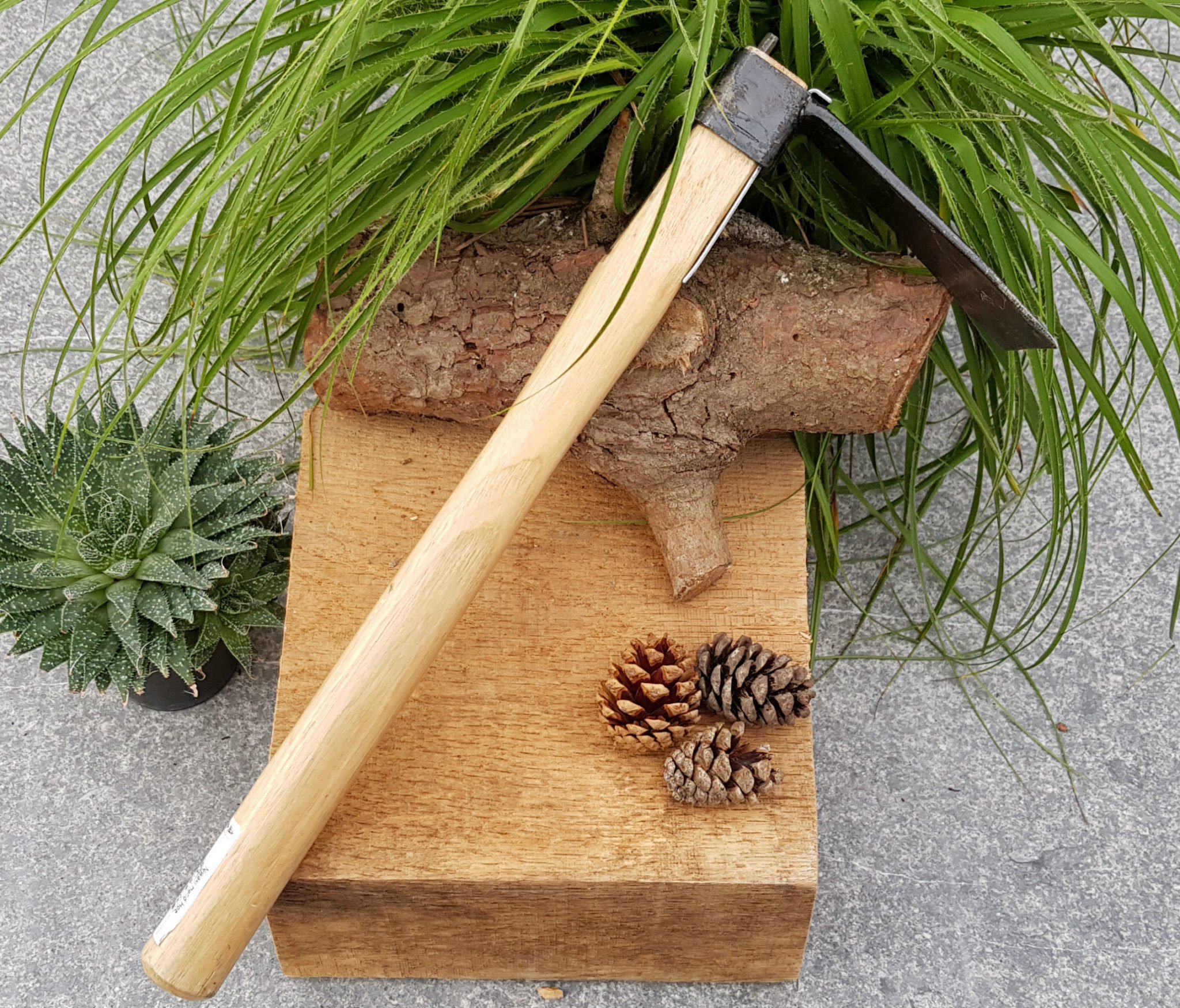 Japanese Garden Tools | Niwaki Tools | Architectural Plants