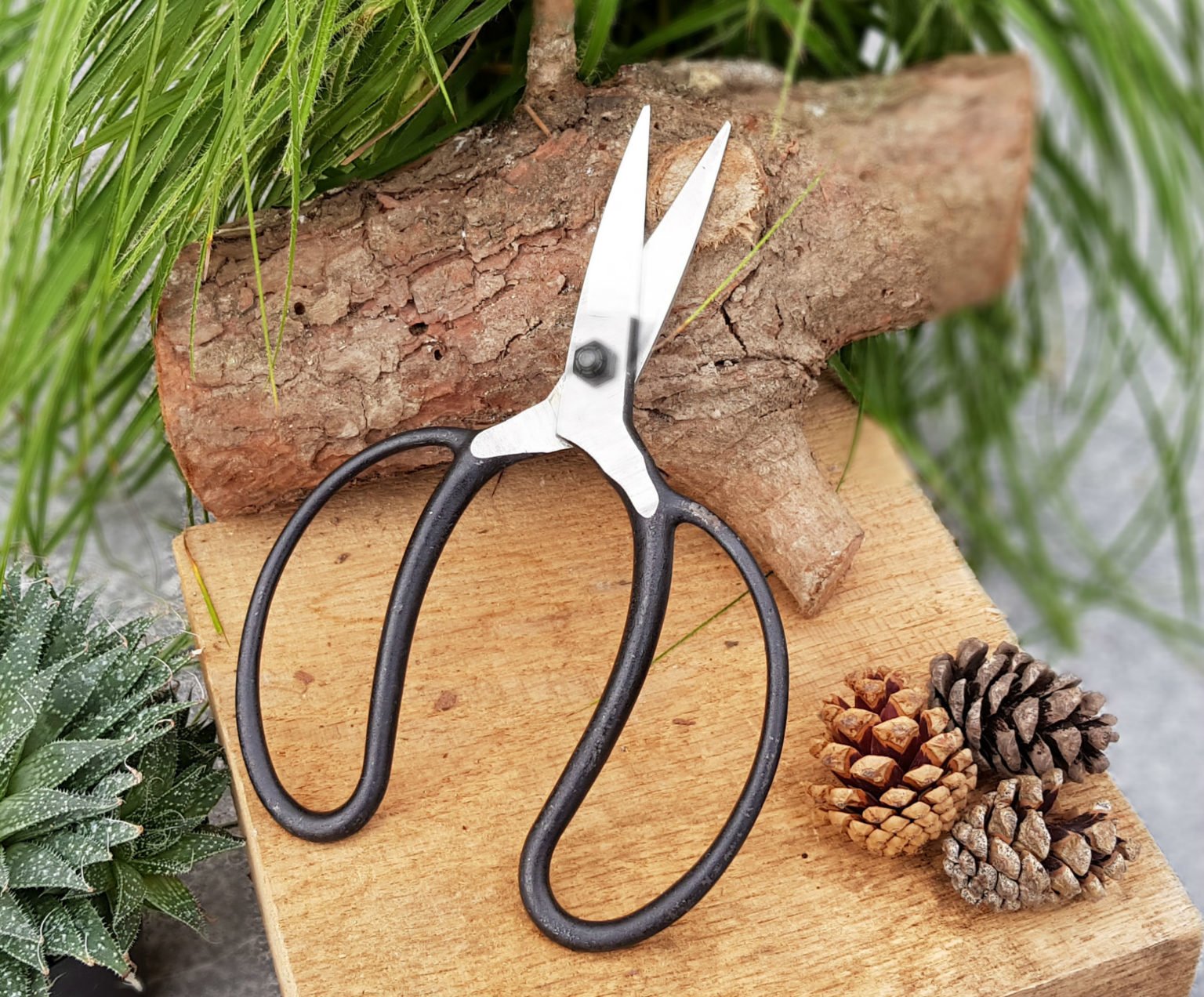 Japanese Garden Tools | Niwaki Tools | Architectural Plants