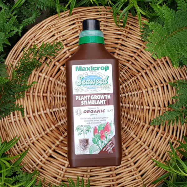 Plant Feed & Bug Control - Architectural Plants