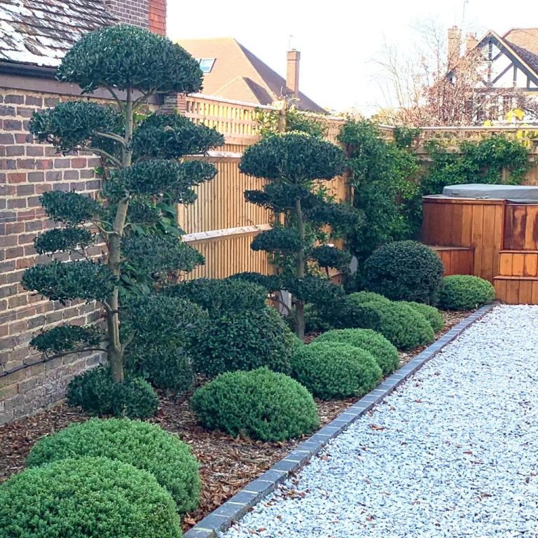 Japanese Garden Design & Plants | Architectural Plants