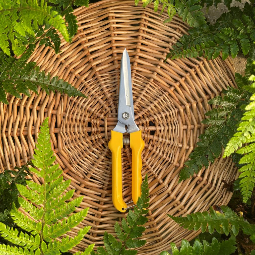 Shop Niwaki Tools - Japanese Garden Tools - Buy Online