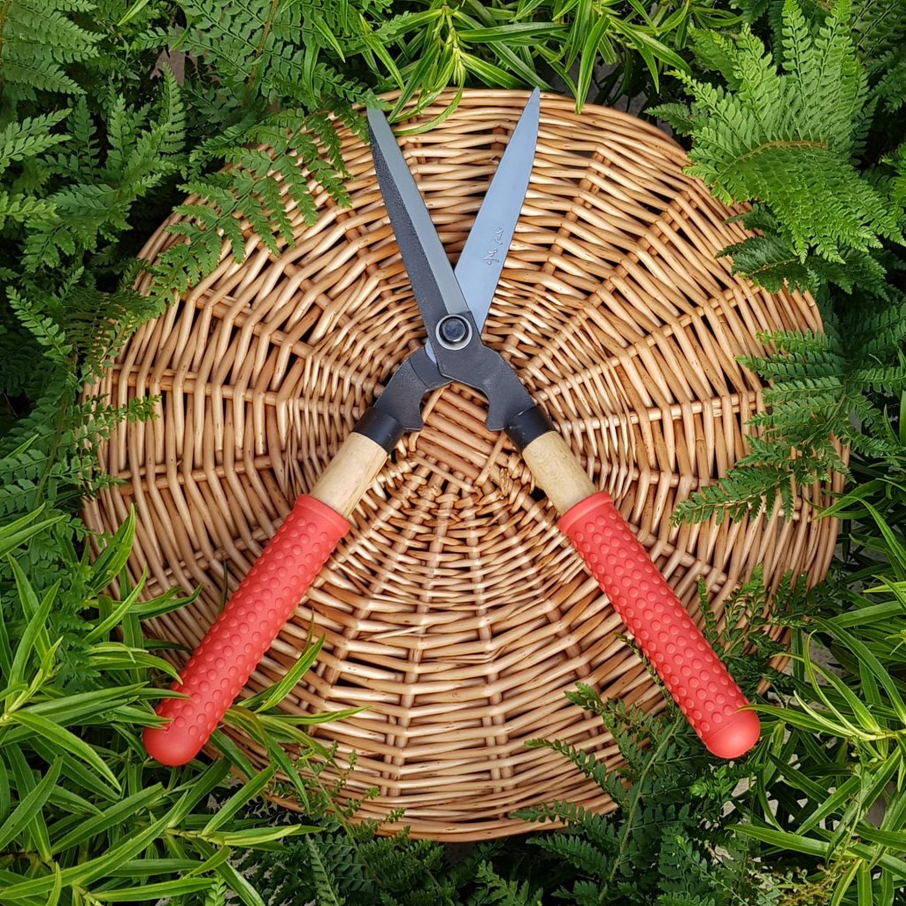 Buy Niwaki Mini Shears - Architectural Plants