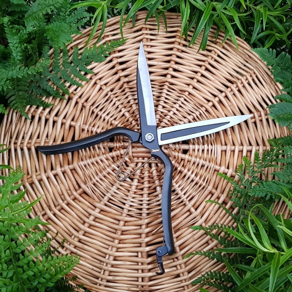 Buy Niwaki Sentei Topiary Clippers - Architectural Plants