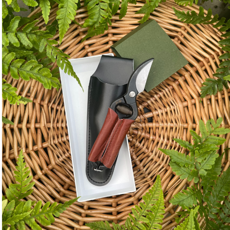 Buy Niwaki Mini Secateurs Japanese Pruners - Architectural Plants