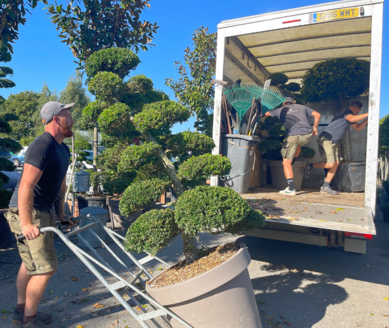 Run Barns Green 2021 - Architectural Plants