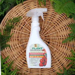 Buy SB Plant Invigorator - Architectural Plants