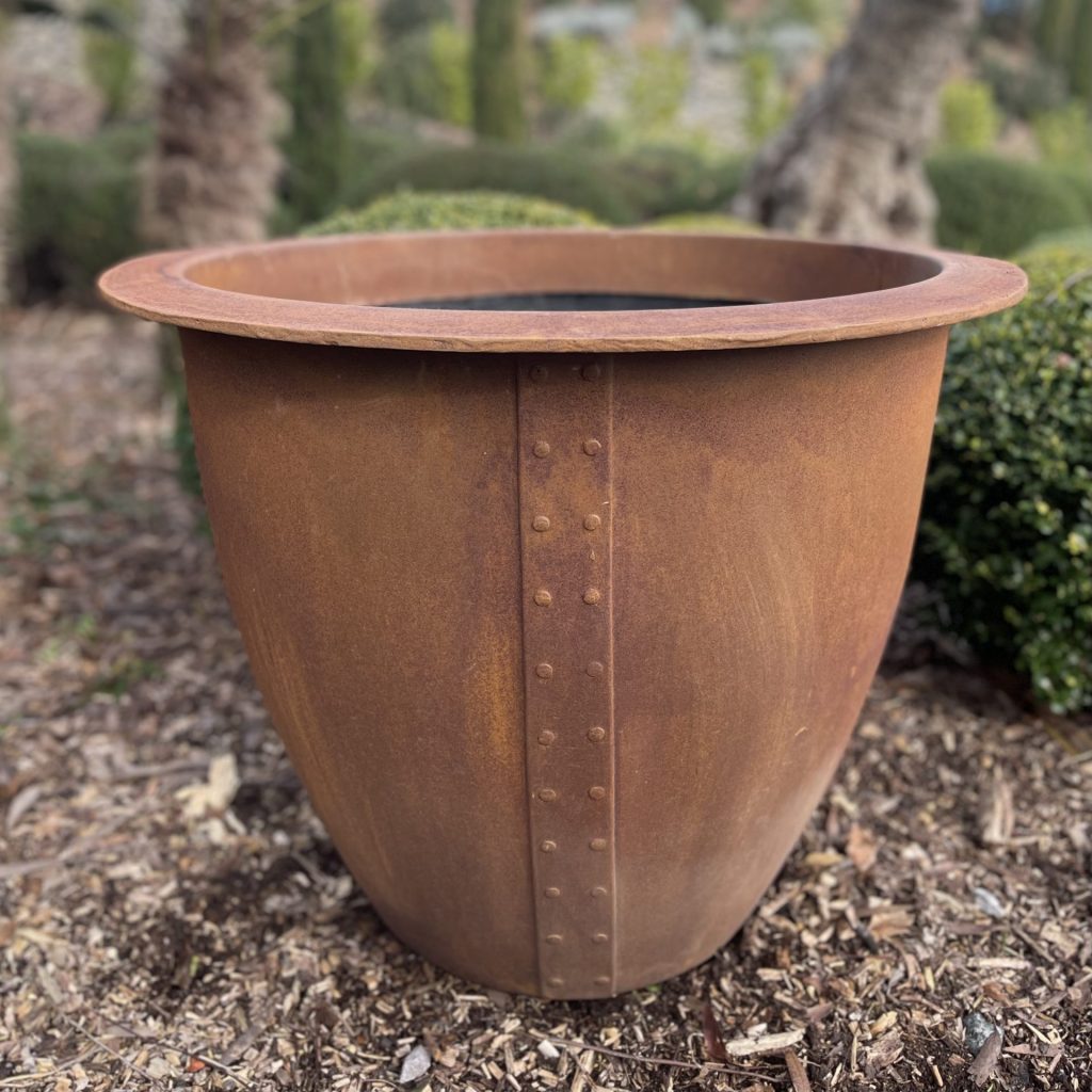 Buy Norman Planter - Architectural Plants