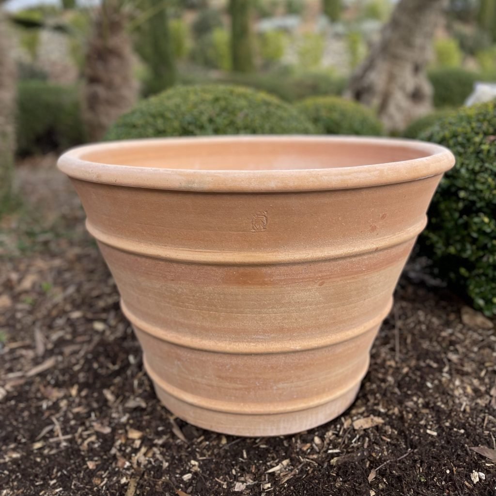 Buy Stuart Round Planter - Architectural Plants