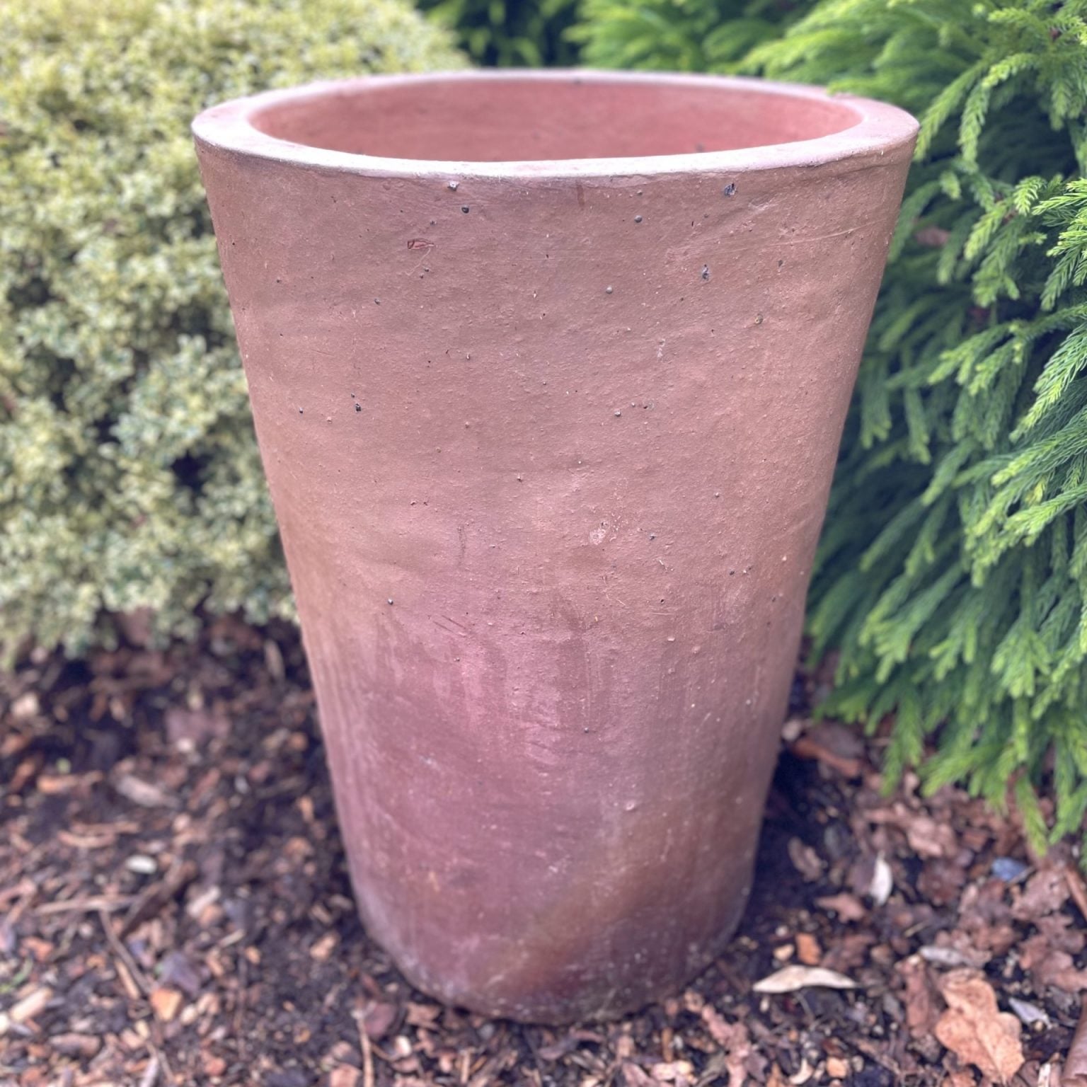 Old Ironstone Jar TPC - Architectural Plants