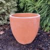 Buy Garden Plant Pots Online - Architectural Plants