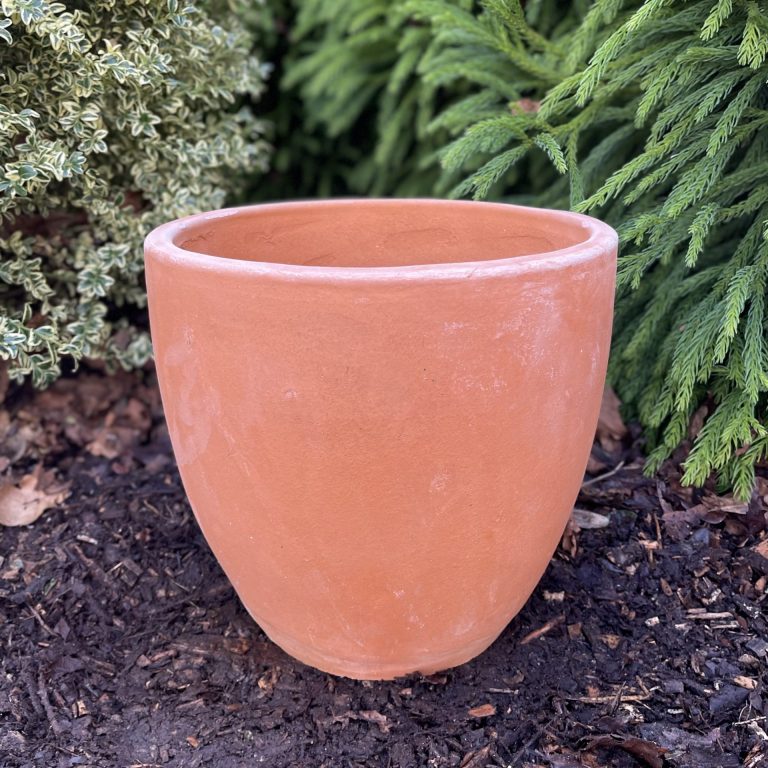 Stuart Round Planter - Architectural Plants