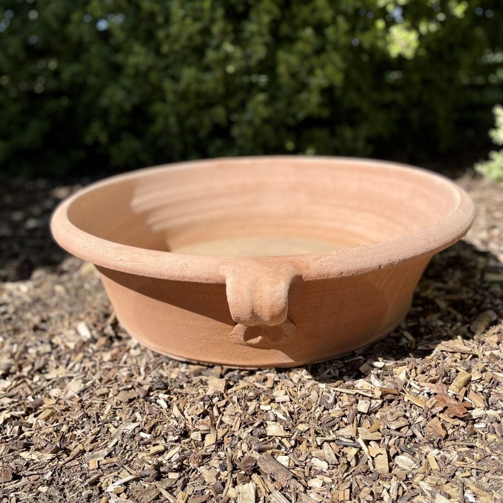 Buy Old Ironstone Jar Round TPC - Architectural Plants
