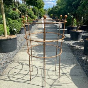 Buy Plant Support - 3 Ring Herbaceous Support - Architectural Plants