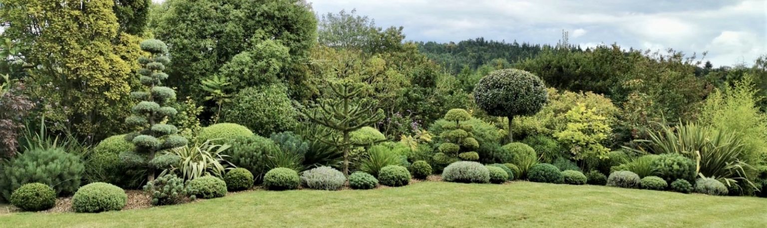 Garden Designers - UK Garden Design - Architectural Plants