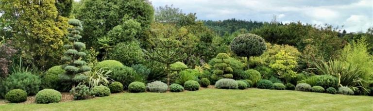 Garden Designers - UK Garden Design - Architectural Plants