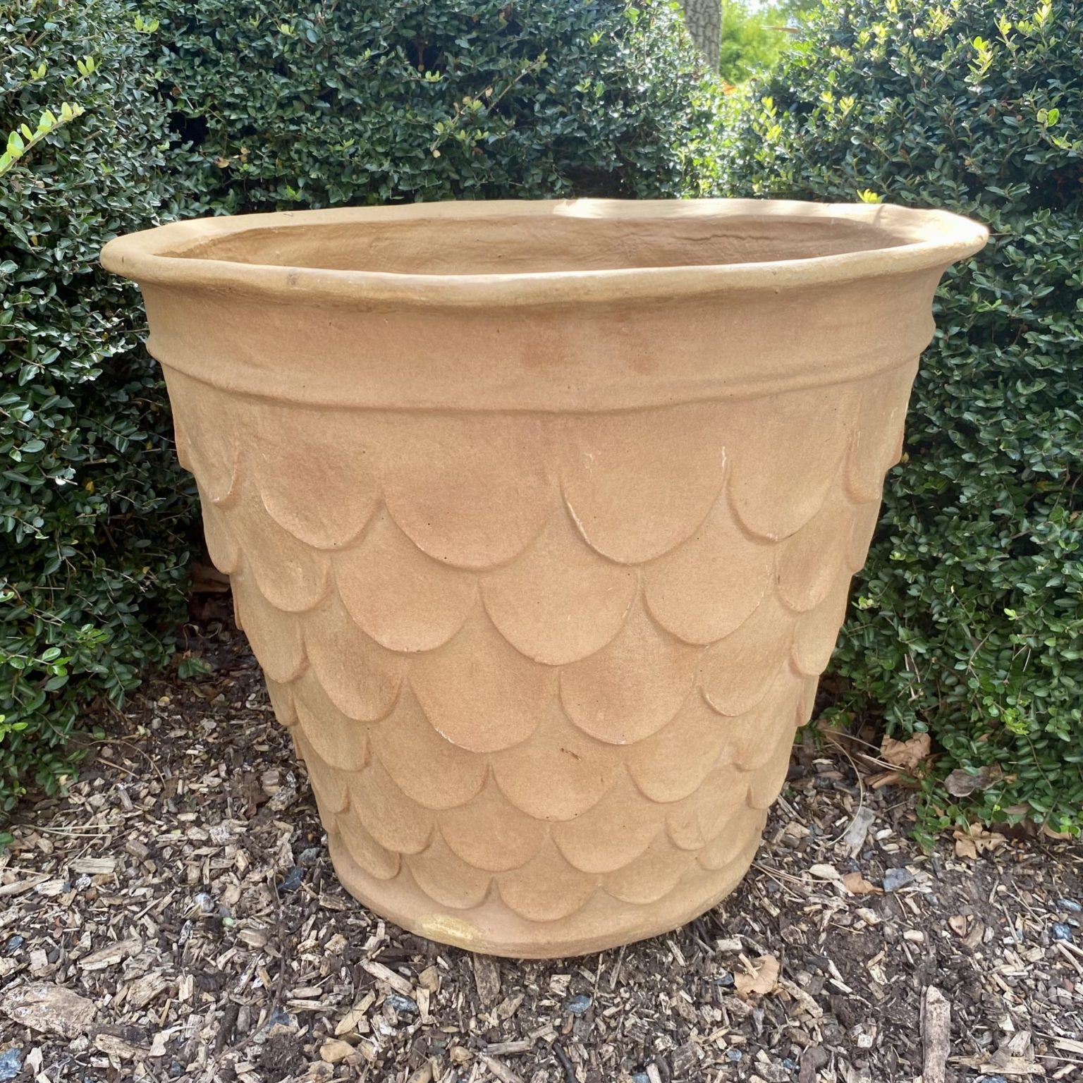 Fishscale Planter - Architectural Plants