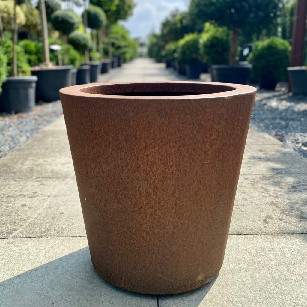 Buy Garden Plant Pots Online - Architectural Plants
