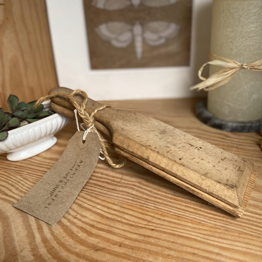 Buy Butter Pats - Architectural Plants