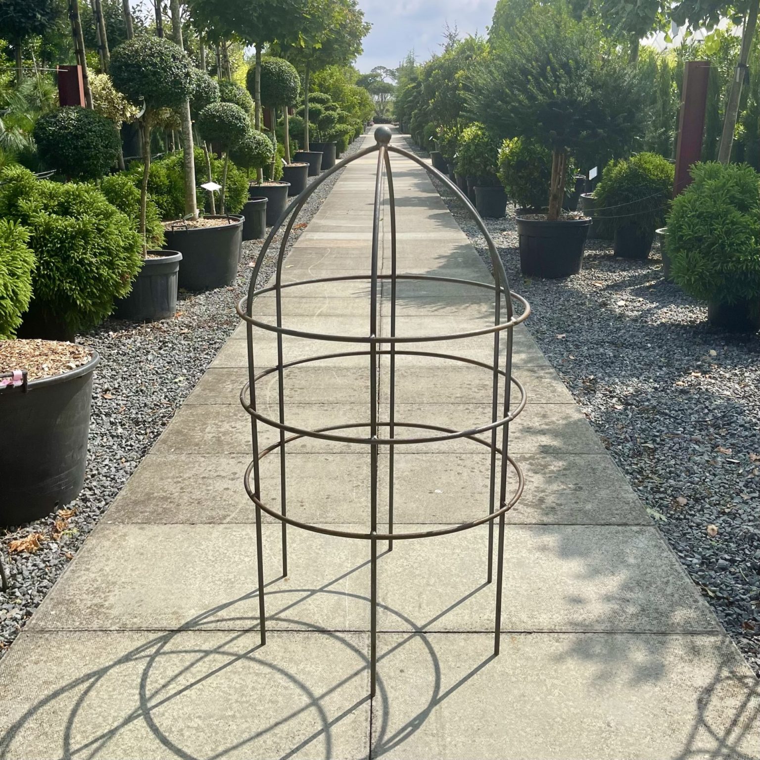 Buy Plant Support - Lobster Pot - Architectural Plants
