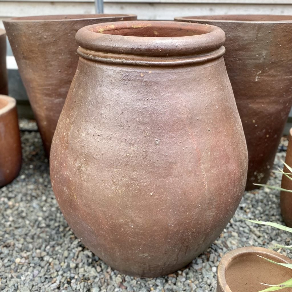 Buy Old Ironstone Jar Round TPC - Architectural Plants