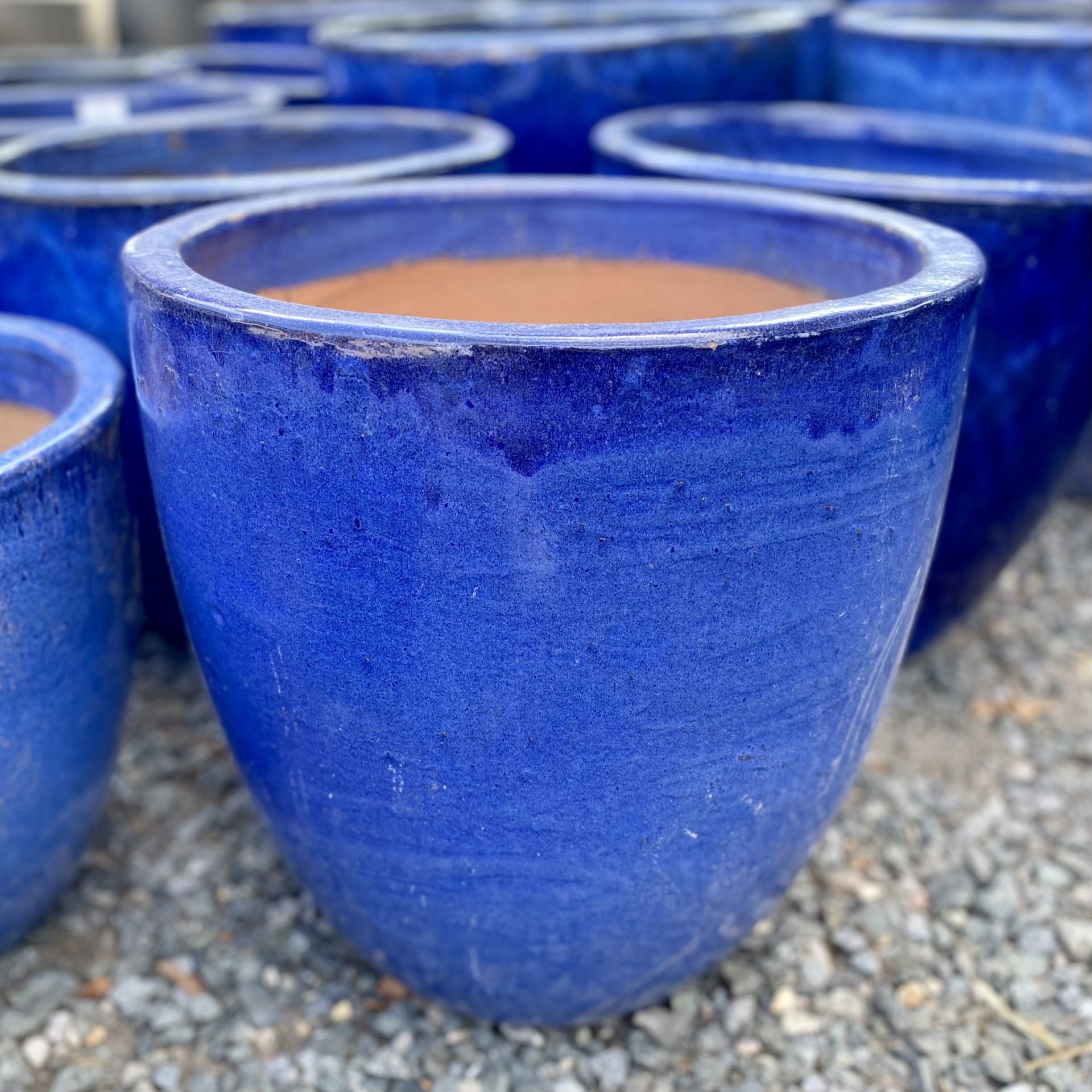 Glazed Egg Pots - Architectural Plants