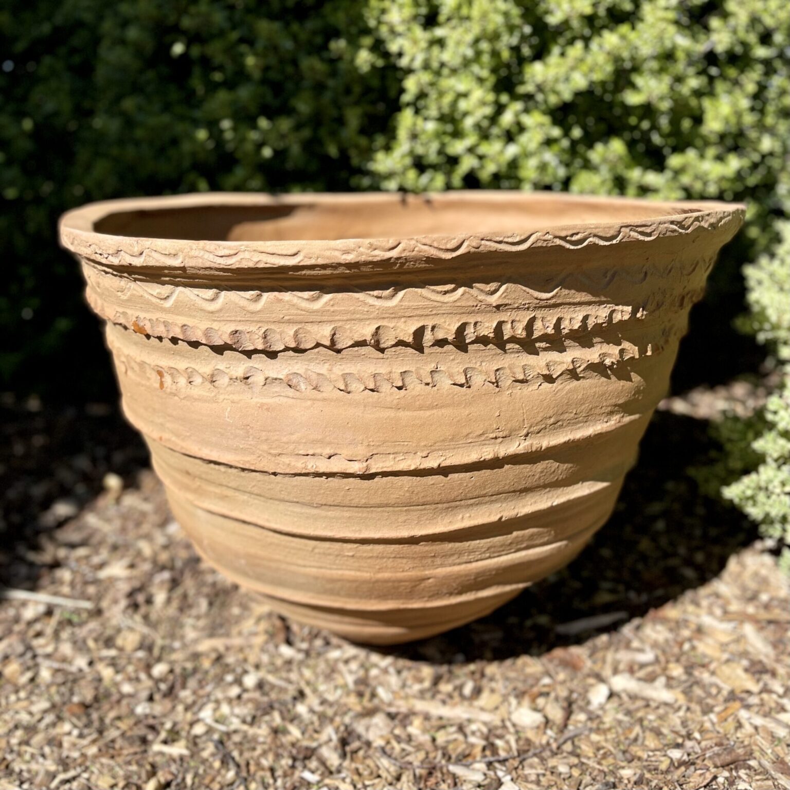 Buy Mediterranean Pots - Architectural Plants