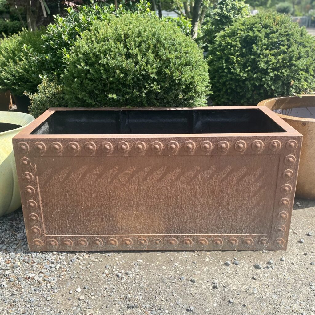 Buy Garden Plant Pots Online - Architectural Plants