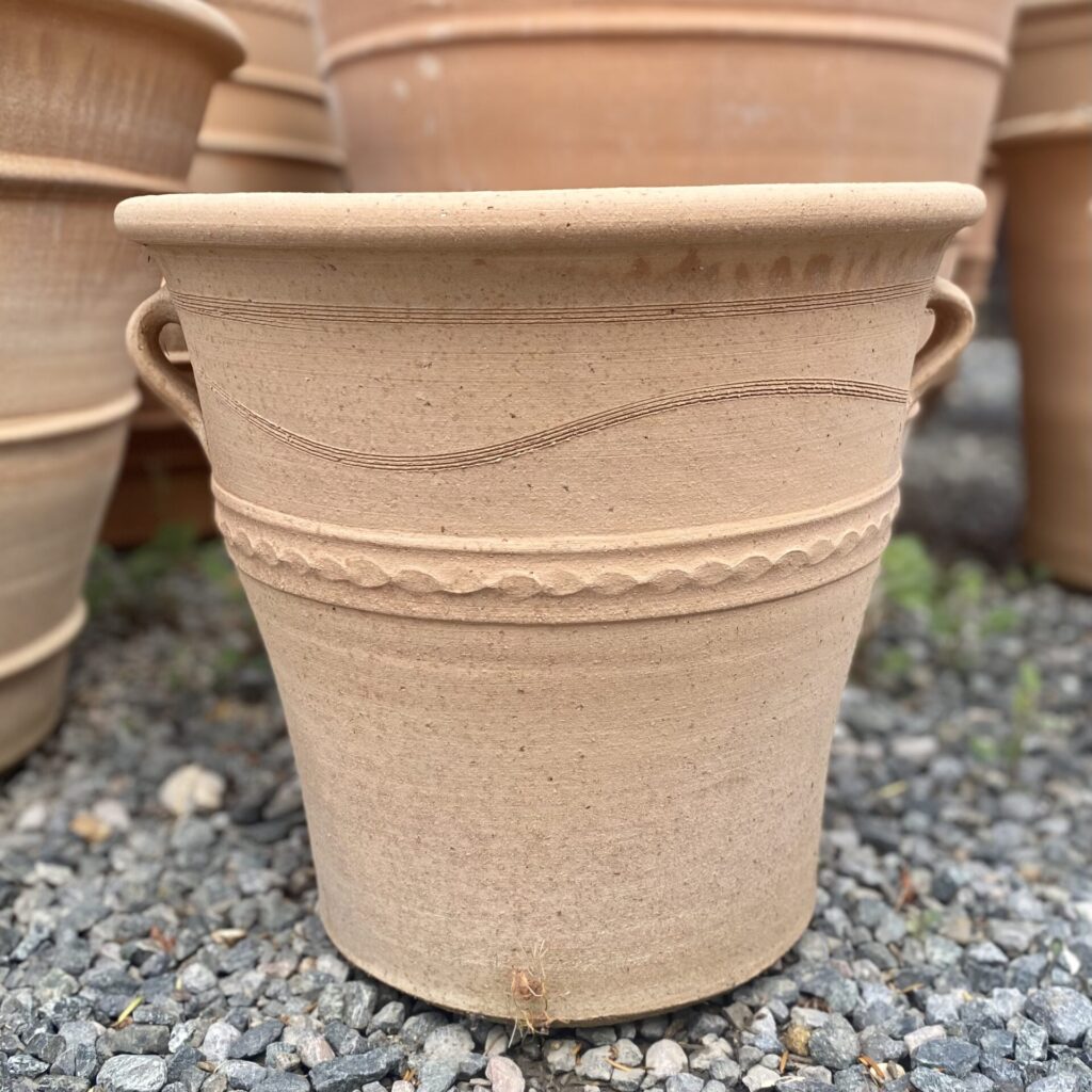 Buy Garden Plant Pots Online - Architectural Plants