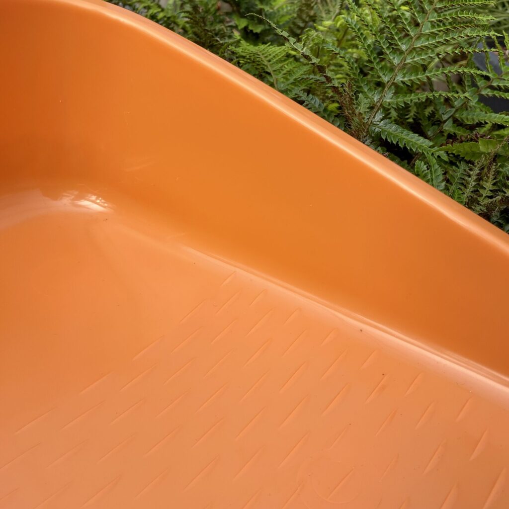 Buy Niwaki Enormous Orange Leafpan - Architectural Plants