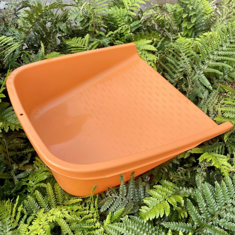 Buy Niwaki Enormous Orange Leafpan - Architectural Plants