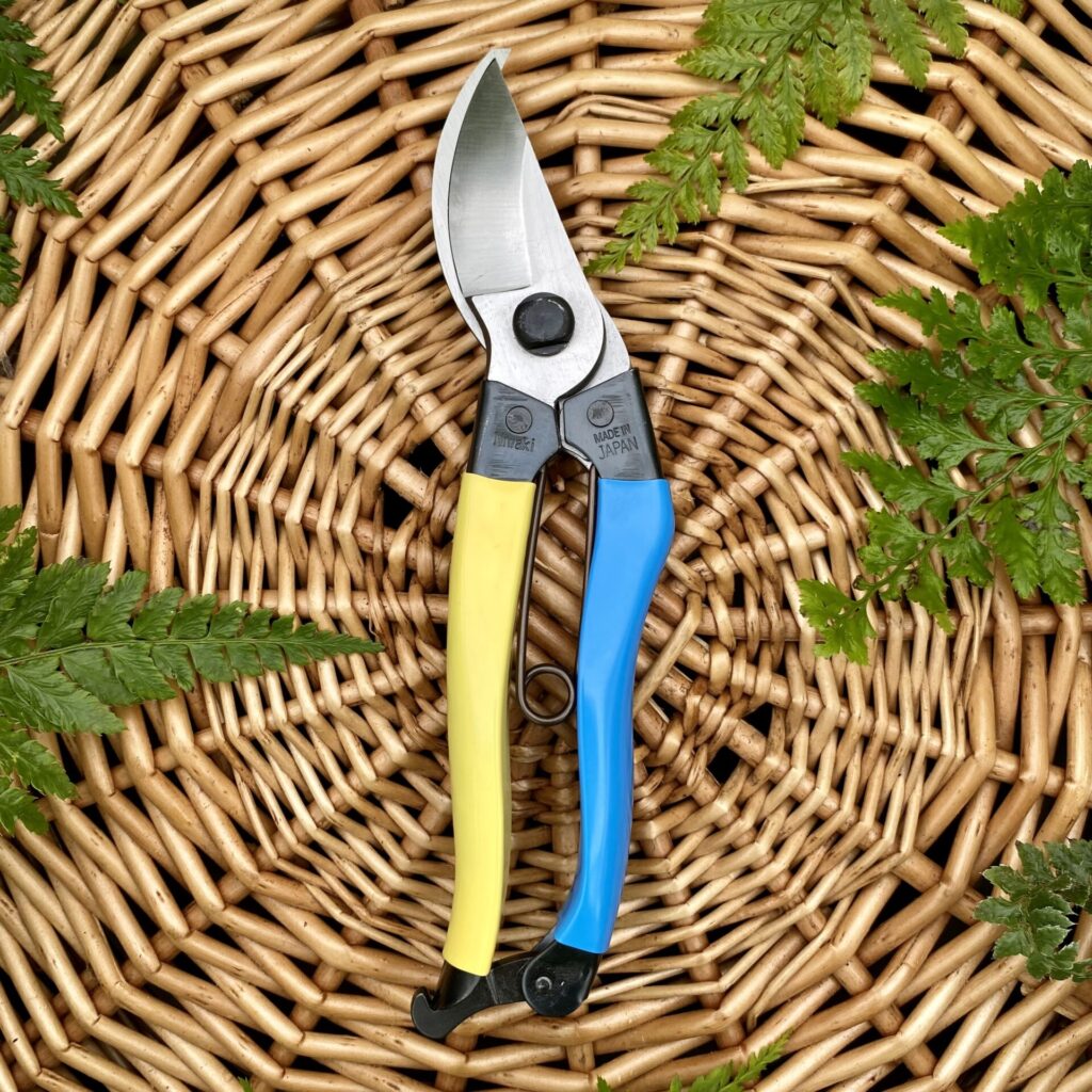 Buy Niwaki Mainichi Left Handed Secateurs - Architectural Plants