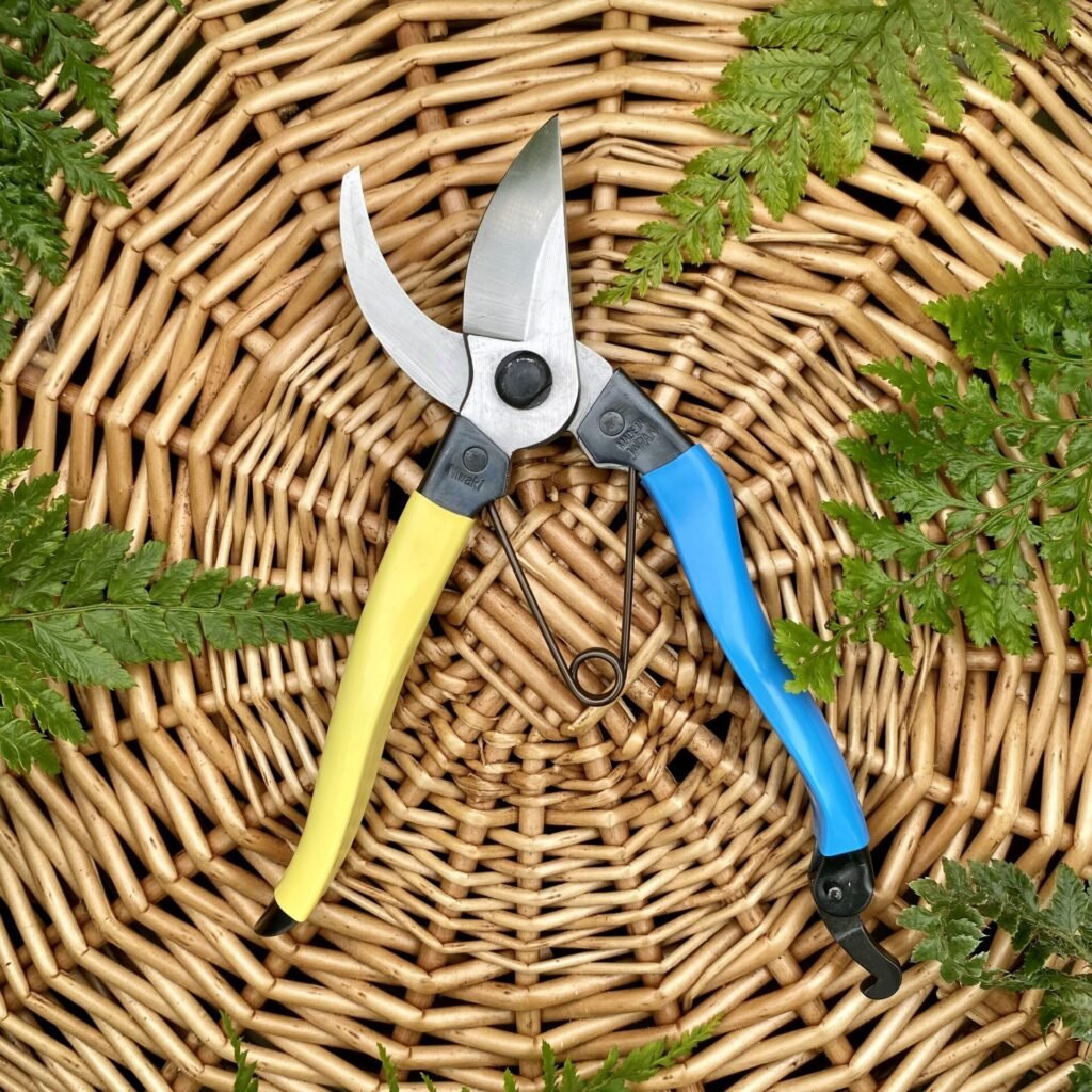 Buy Niwaki Mainichi Left Handed Secateurs - Architectural Plants