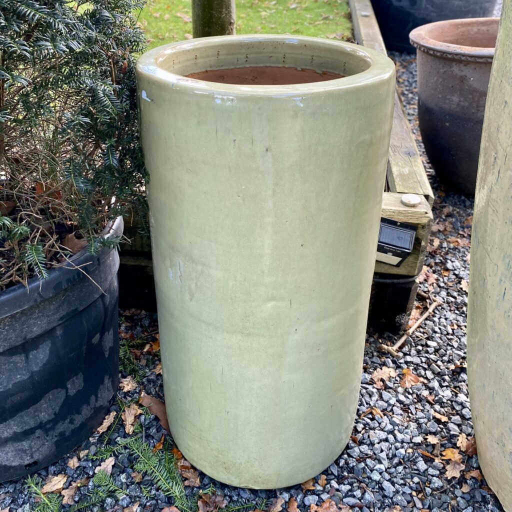 Buy Tall Glazed Cylinder - Architectural Plants