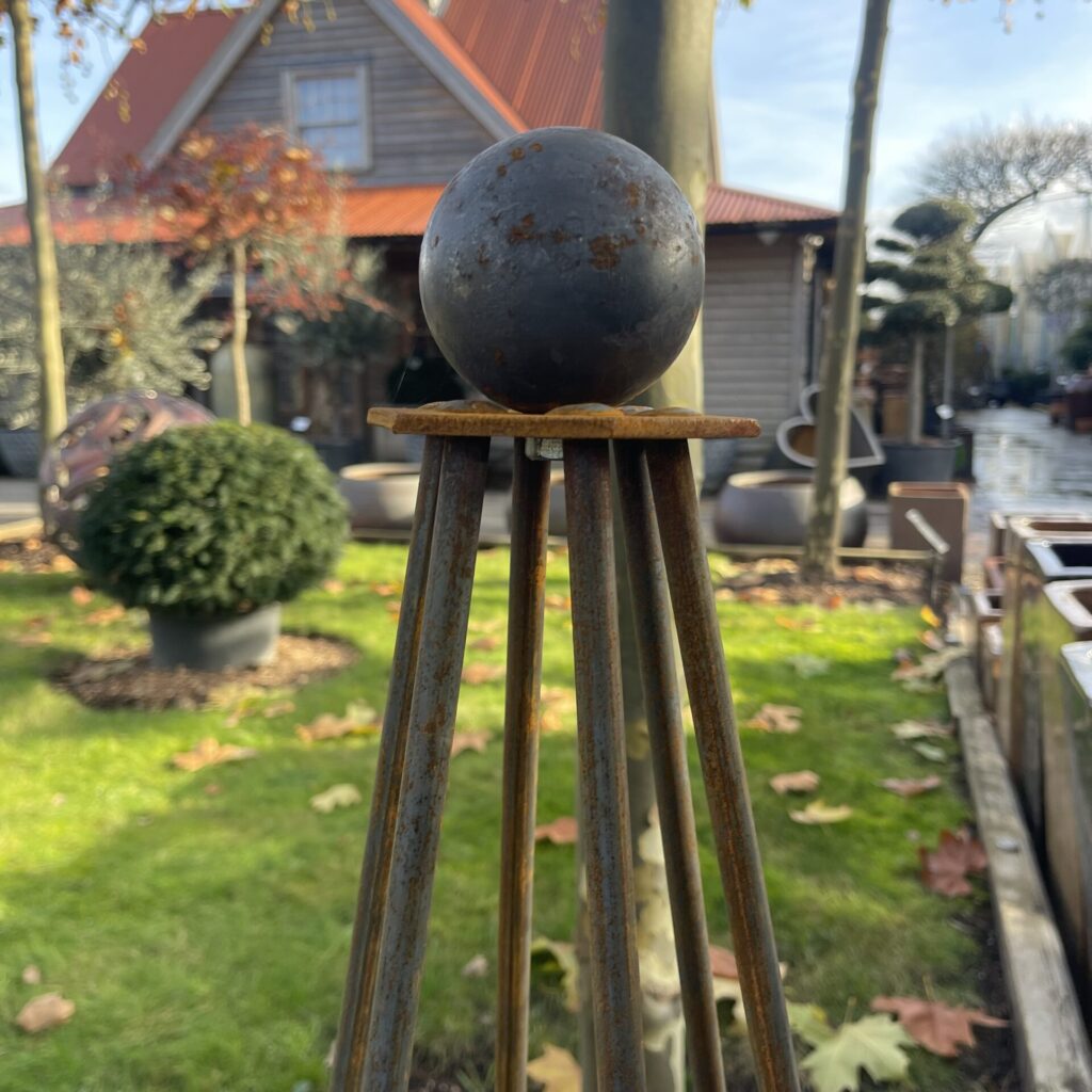 Buy Obelisk Plant Supports - Architectural Plants