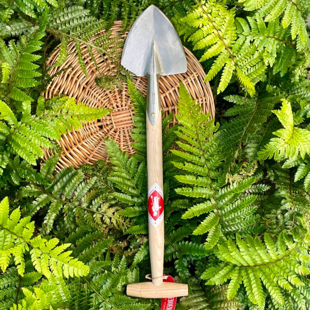 Buy Sneeboer & Zn Perennial Spade - Architectural Plants