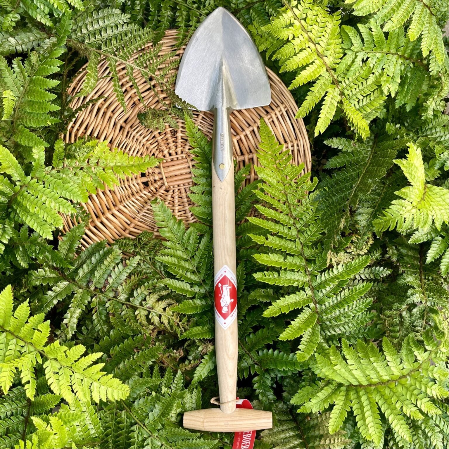 Buy Sneeboer & Zn Perennial Spade - Architectural Plants
