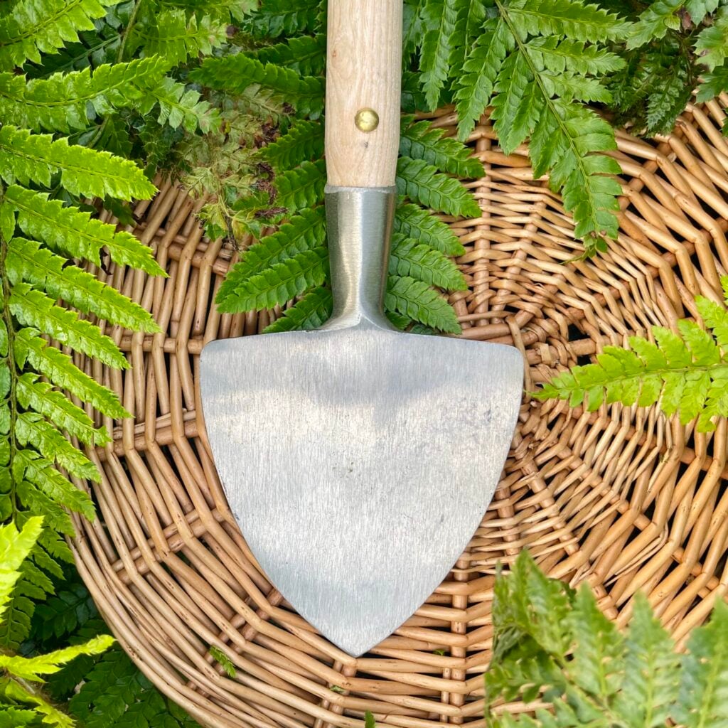 Buy Sneeboer & Zn Perennial Spade - Architectural Plants