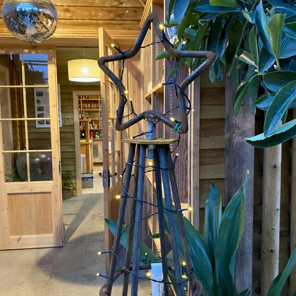 Buy Obelisk Plant Supports - Architectural Plants