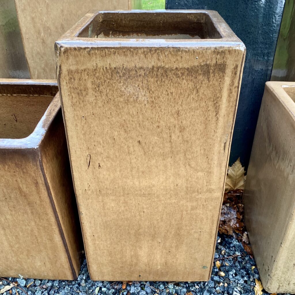 Buy Glazed Square Pots TPC - Architectural Plants