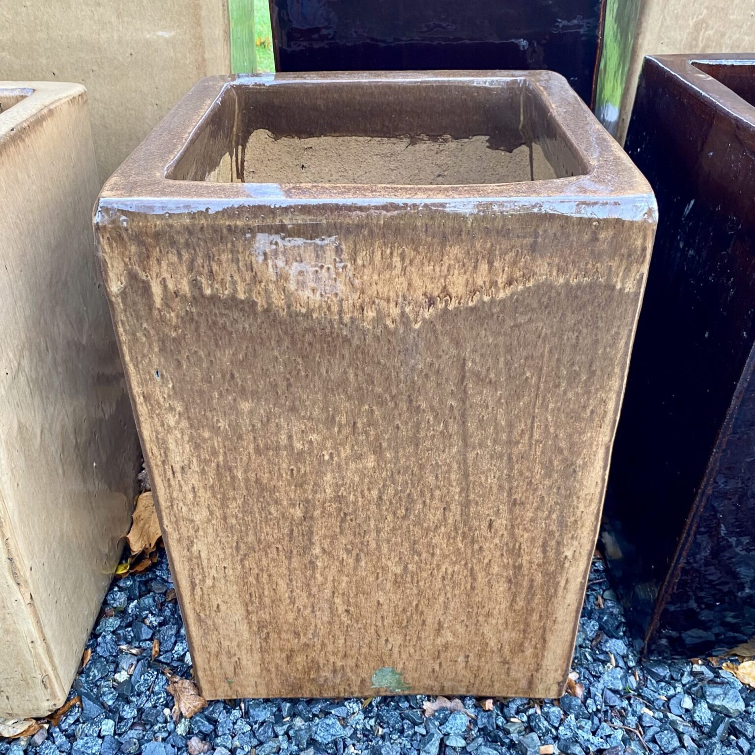 Buy Glazed Square Pots TPC - Architectural Plants