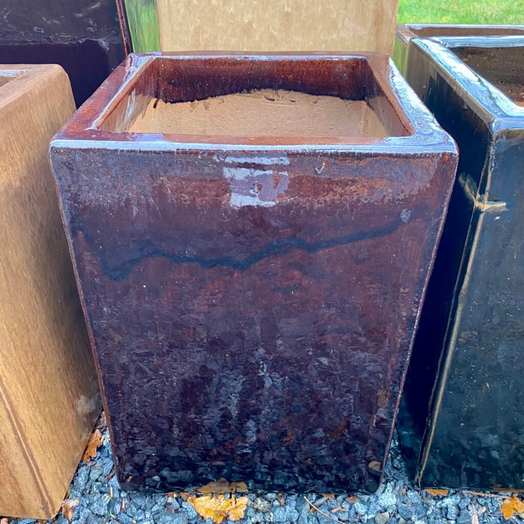 Buy Glazed Square Pots TPC - Architectural Plants