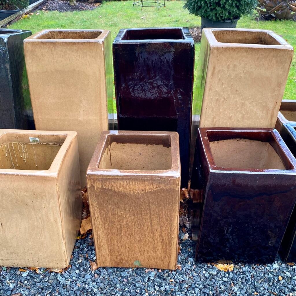 Buy Glazed Square Pots TPC - Architectural Plants