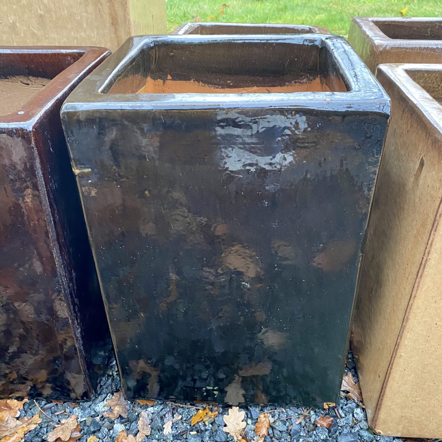 Buy Glazed Square Pots TPC - Architectural Plants
