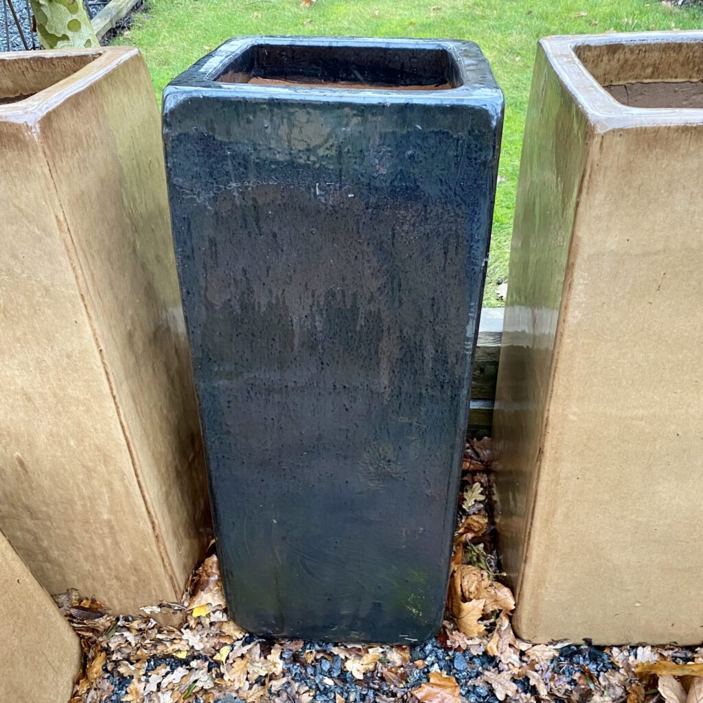 Buy Glazed Square Pots TPC - Architectural Plants