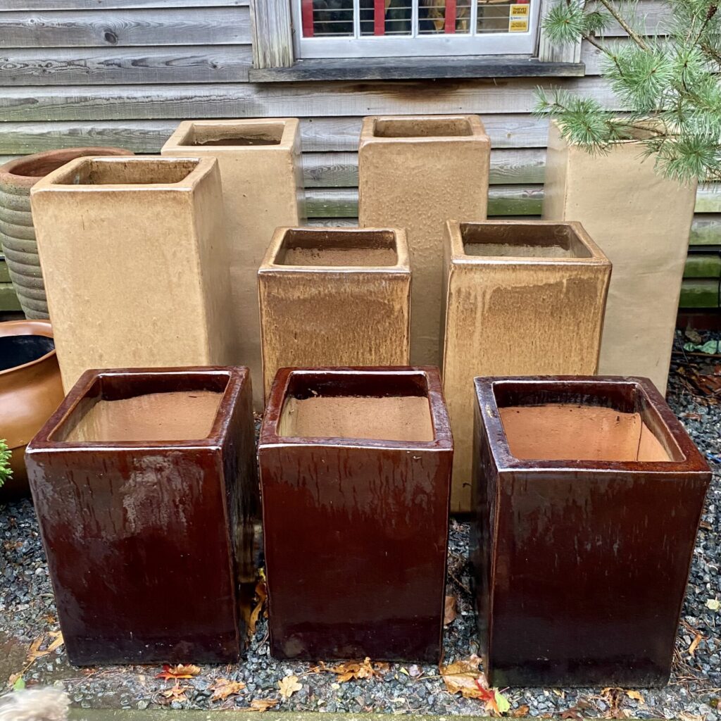 Buy Glazed Square Pots TPC - Architectural Plants