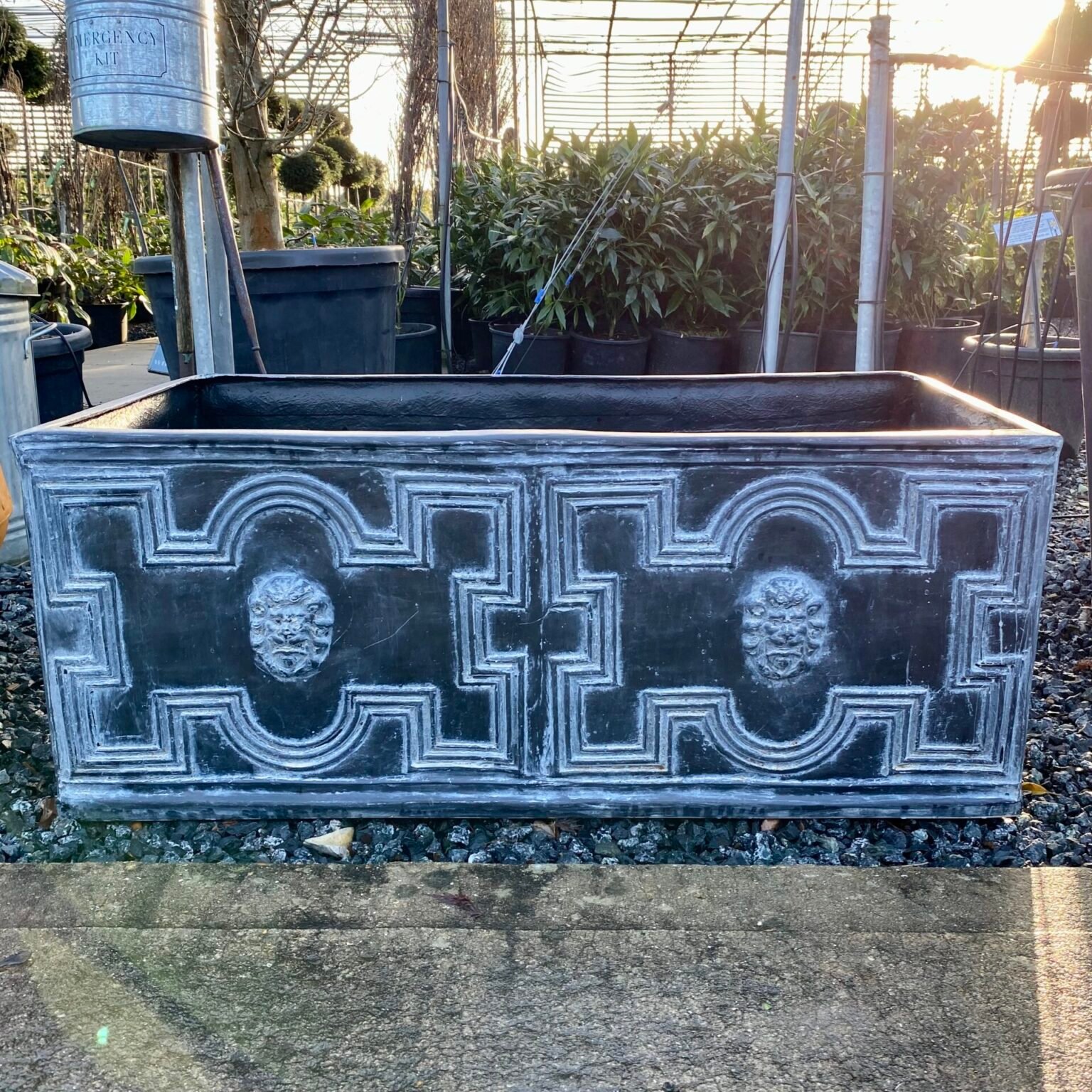 Buy Elizabethan Double Trough - Architectural Plants