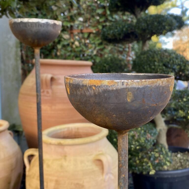 Buy Steel Garden Rain Catcher - Architectural Plants